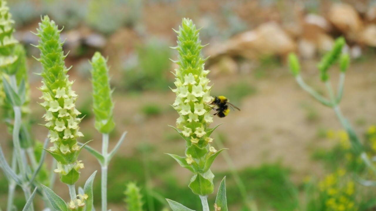 GastrologiQ - Gastronomy. With Sense.